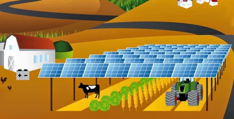 L’agrivoltaïsme : une vrai opportunité pour les exploitations agricoles